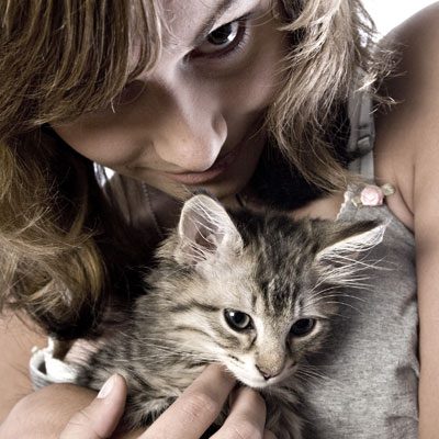 6 Ways To Keep Your Cat Safe | Firth Veterinary Hospital