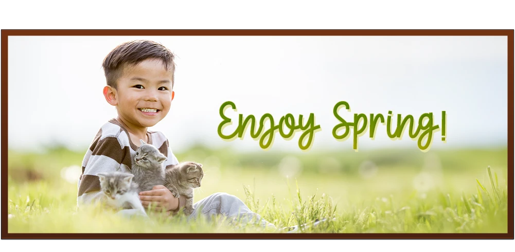 Vet Clinic in London, ON | Animal Hospital | Firth Vet